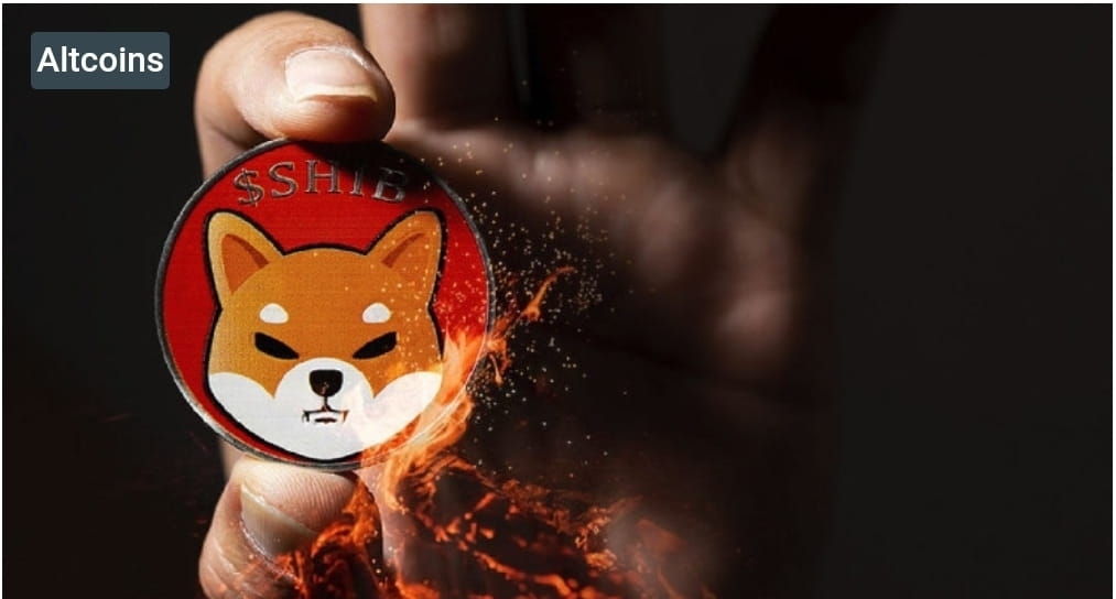 Shiba Inu (SHIB) Starts Week With Massive 1,100% Burn Rate Spike. The ...