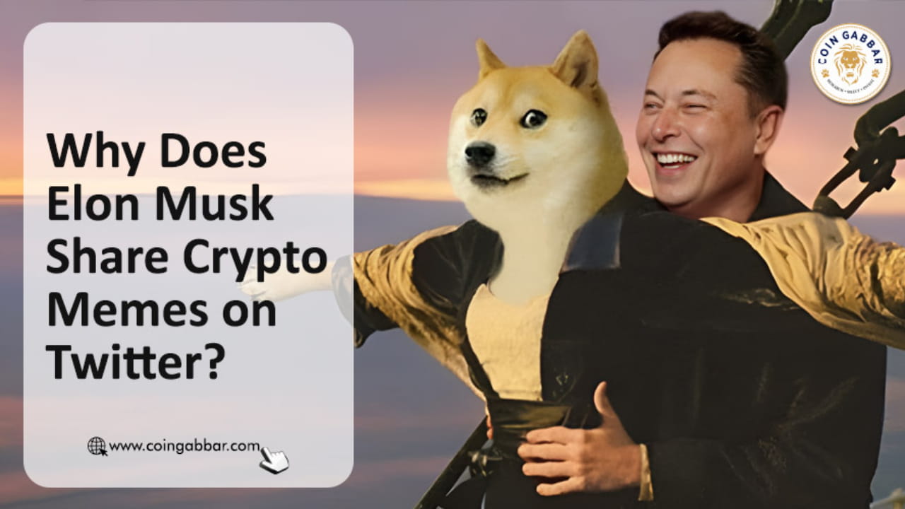 Why Does Elon Musk Share Crypto Memes on Twitter? | CoinGabbar ...