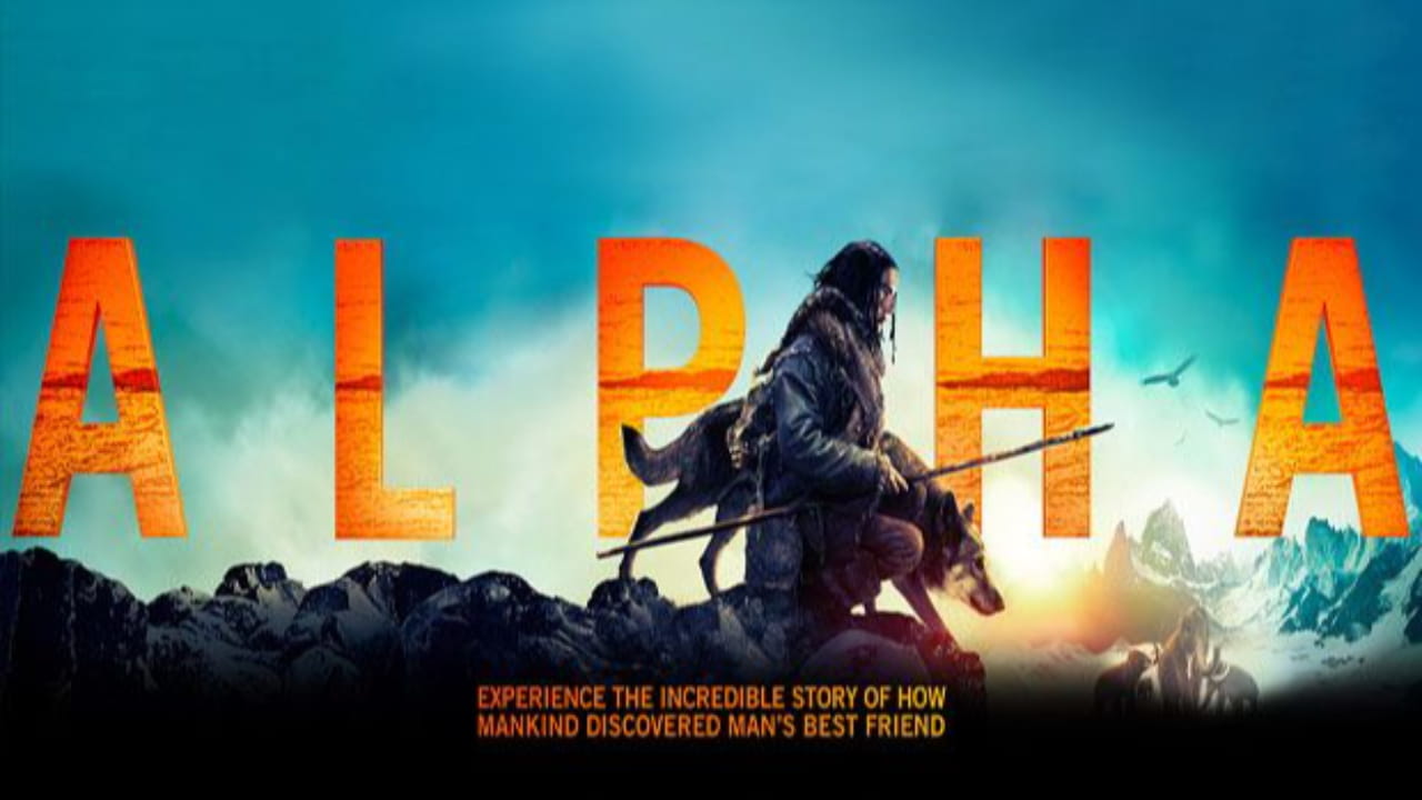 To Find Alpha, You have to Follow the Alpha Tools. | CryptoEmbassy on ...