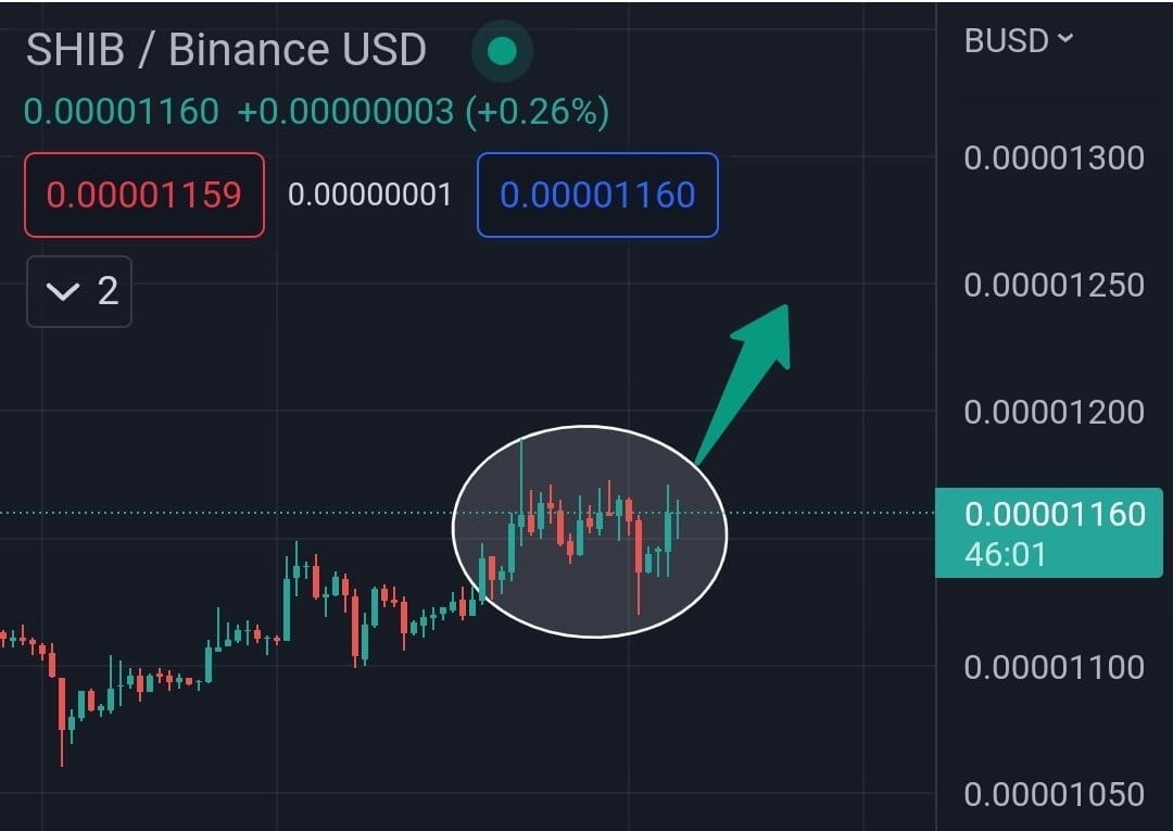 When #SHIB Break This He Will Be Massive 🚀 Sky Rocket Price | CryptoPattiee trên Binance Square