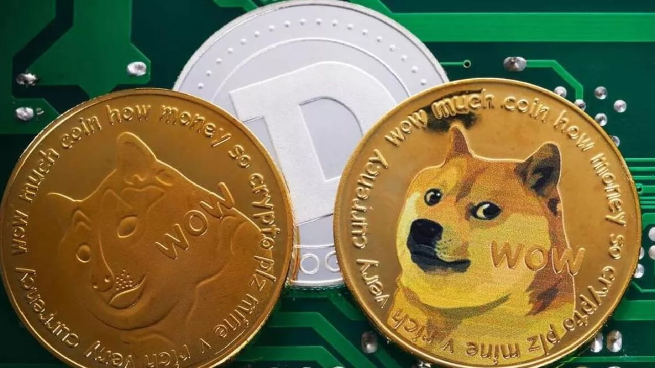 Elon Musk Triggers Meme Coin Rally, Here Are The Tokens Following ...