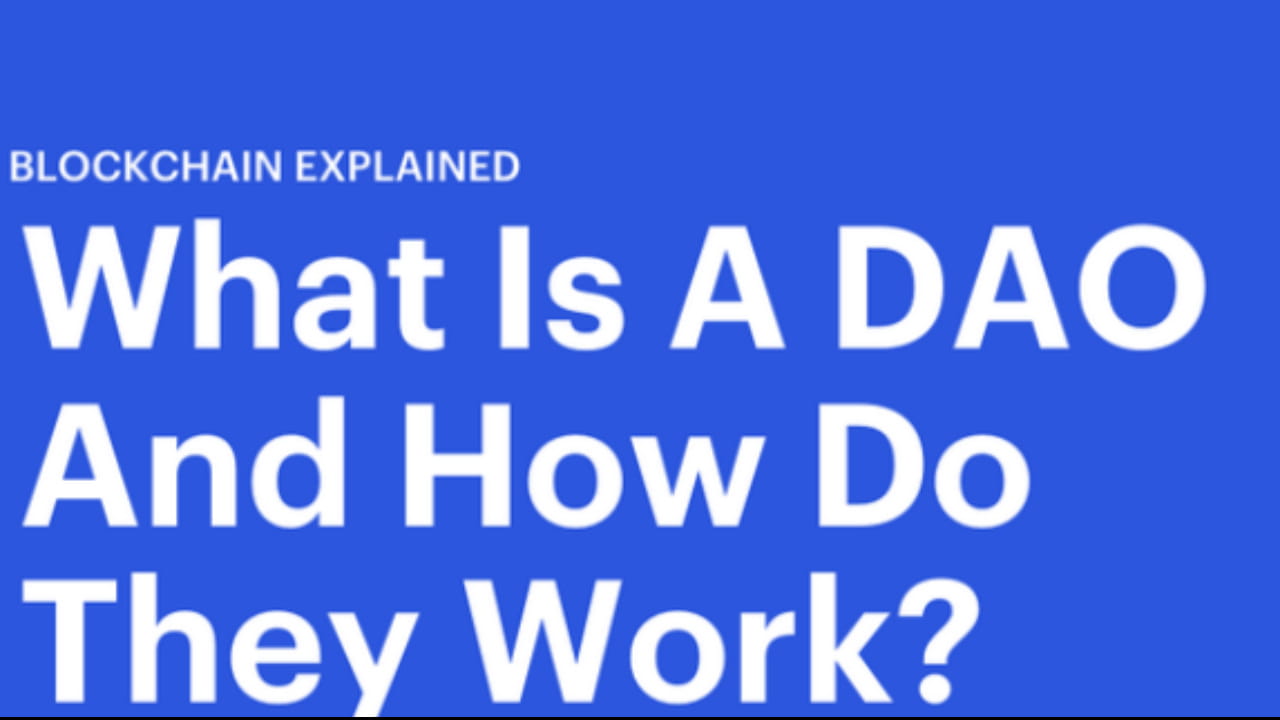 What is a DAO? DAO 101:Intro to Decentralized Autonomous Organizations ...