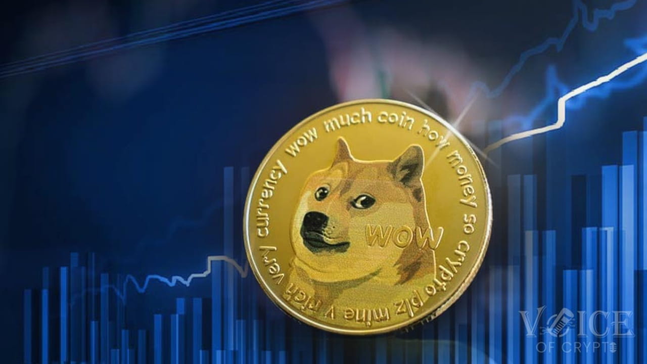 Dogecoin Holders Now Command $3.6B in DOGE | Voice Of Crypto on Binance ...