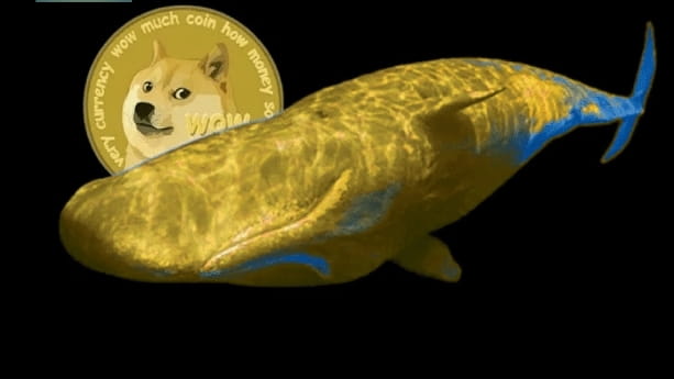 Santiment Data Reveals: Dogecoin Whales | Crypto _Drops on Binance Square