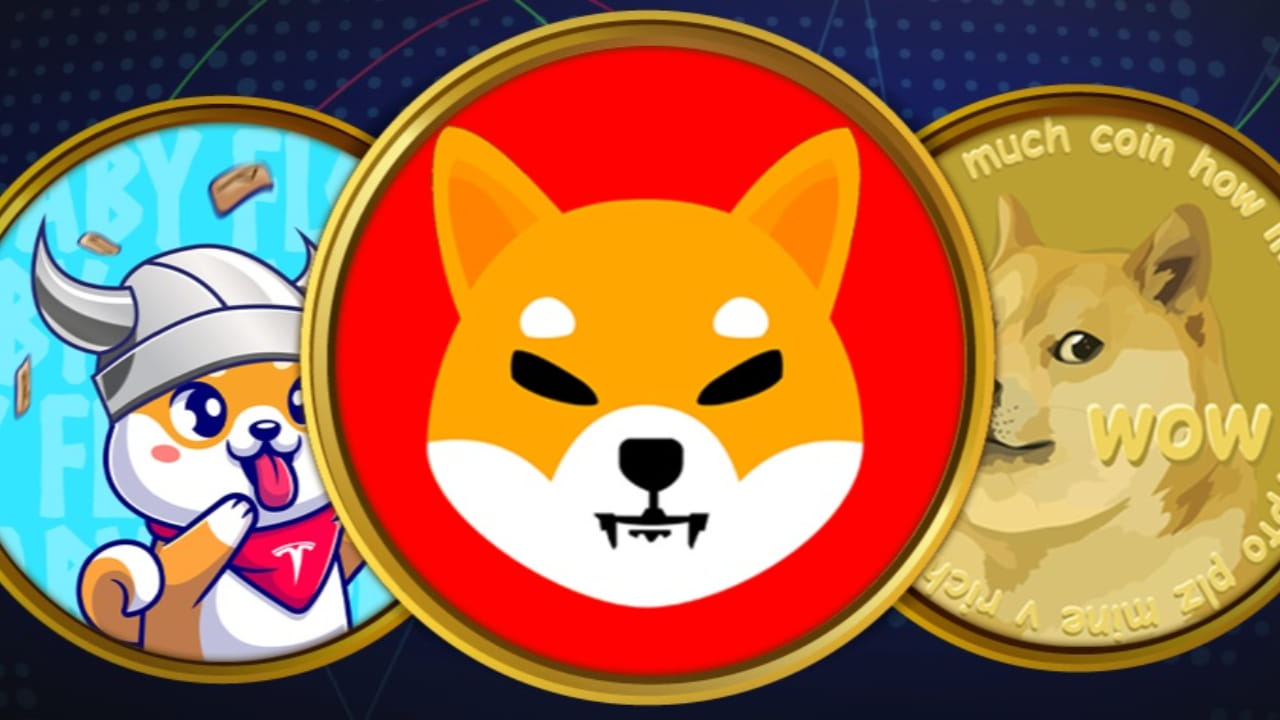 Over 70% of Investors in Shiba Inu and Dogecoin Rival $FLOKI are Underwater, Data Shows ...