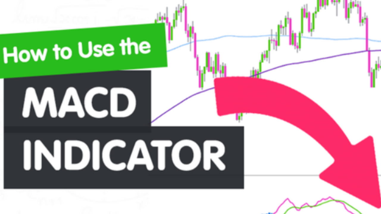 Mastering the MACD Indicator for Effective Crypto Trading | Cryptokang ...