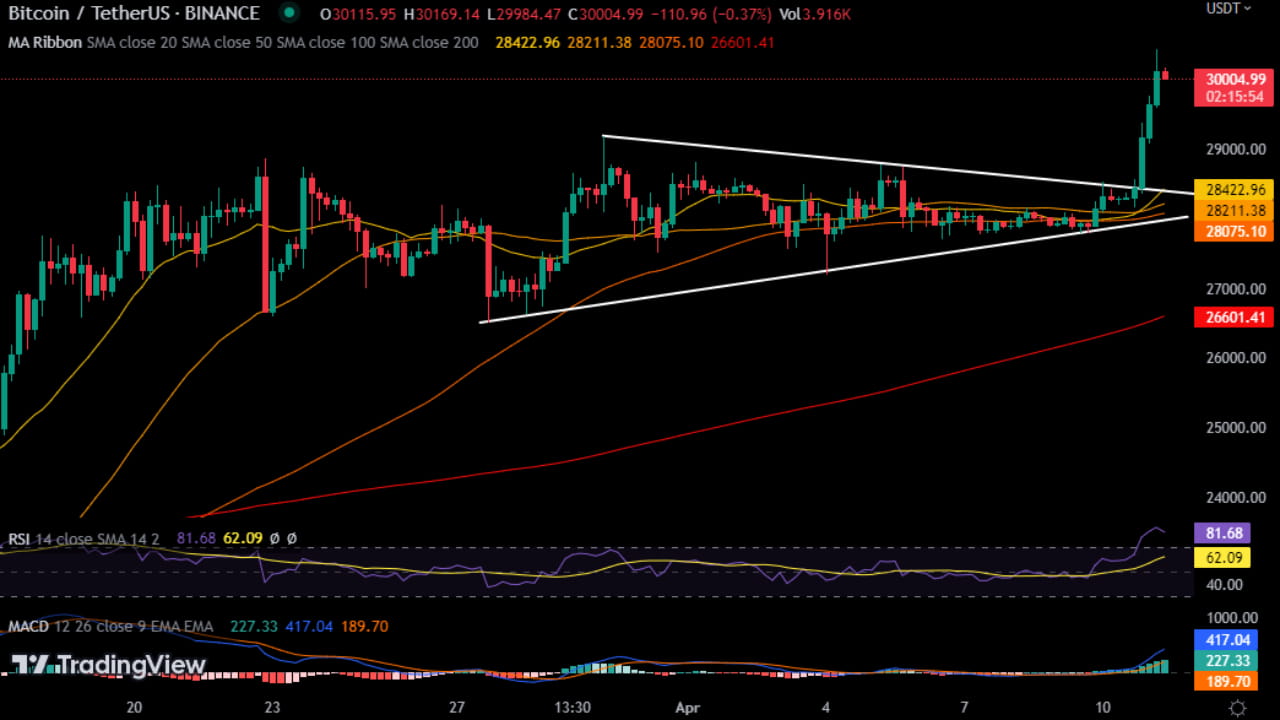 BITCOIN PRICE ANALYSIS: Will the rising trend sustain, or is it just a ...