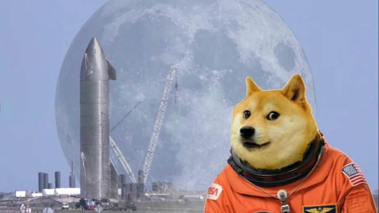 Dogecoin (DOGE) Drops 6% As Elon Musk’s SpaceX Test Rocket Launches ...