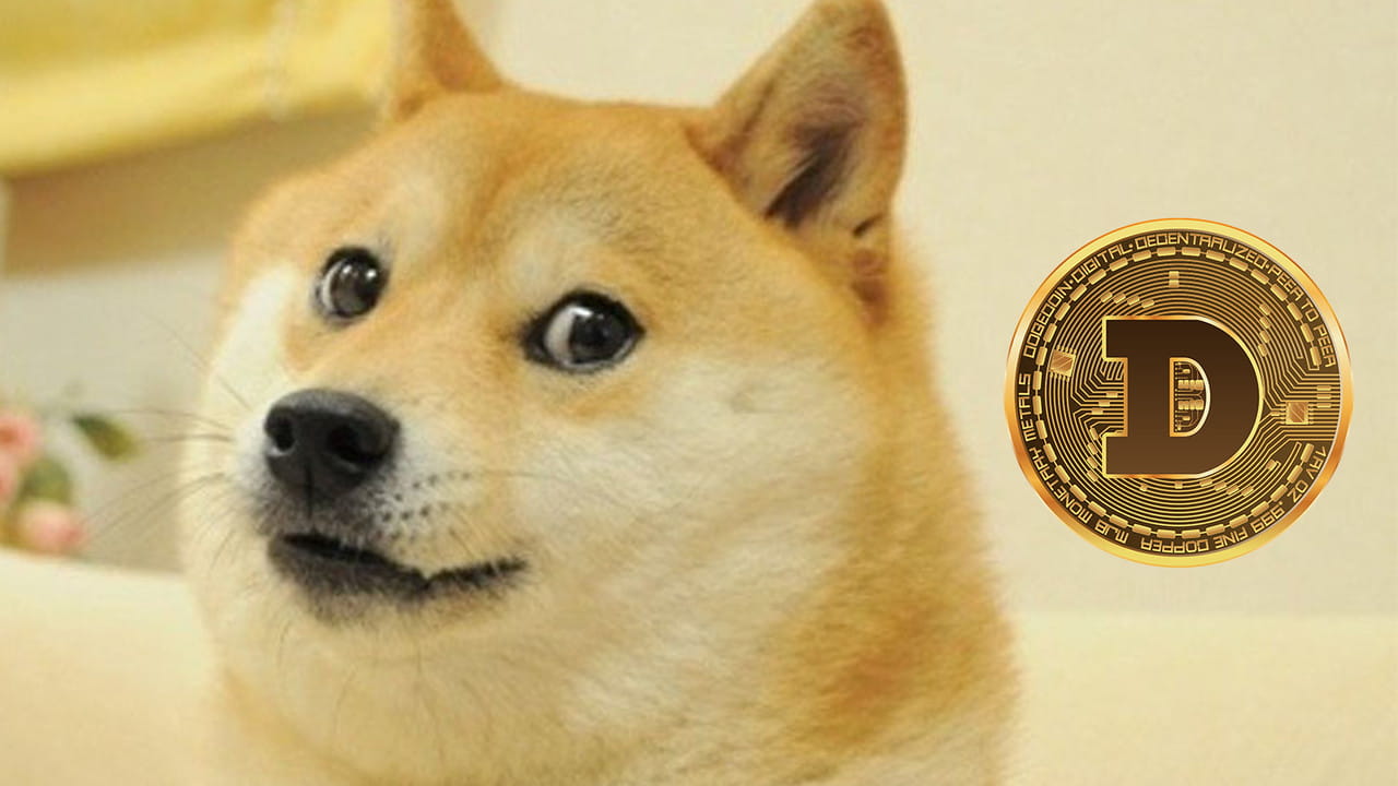 Dogecoin Madenciliği Nasıl Yapılır? #Dogecoin #DOGE | İbrahim COŞAR ...
