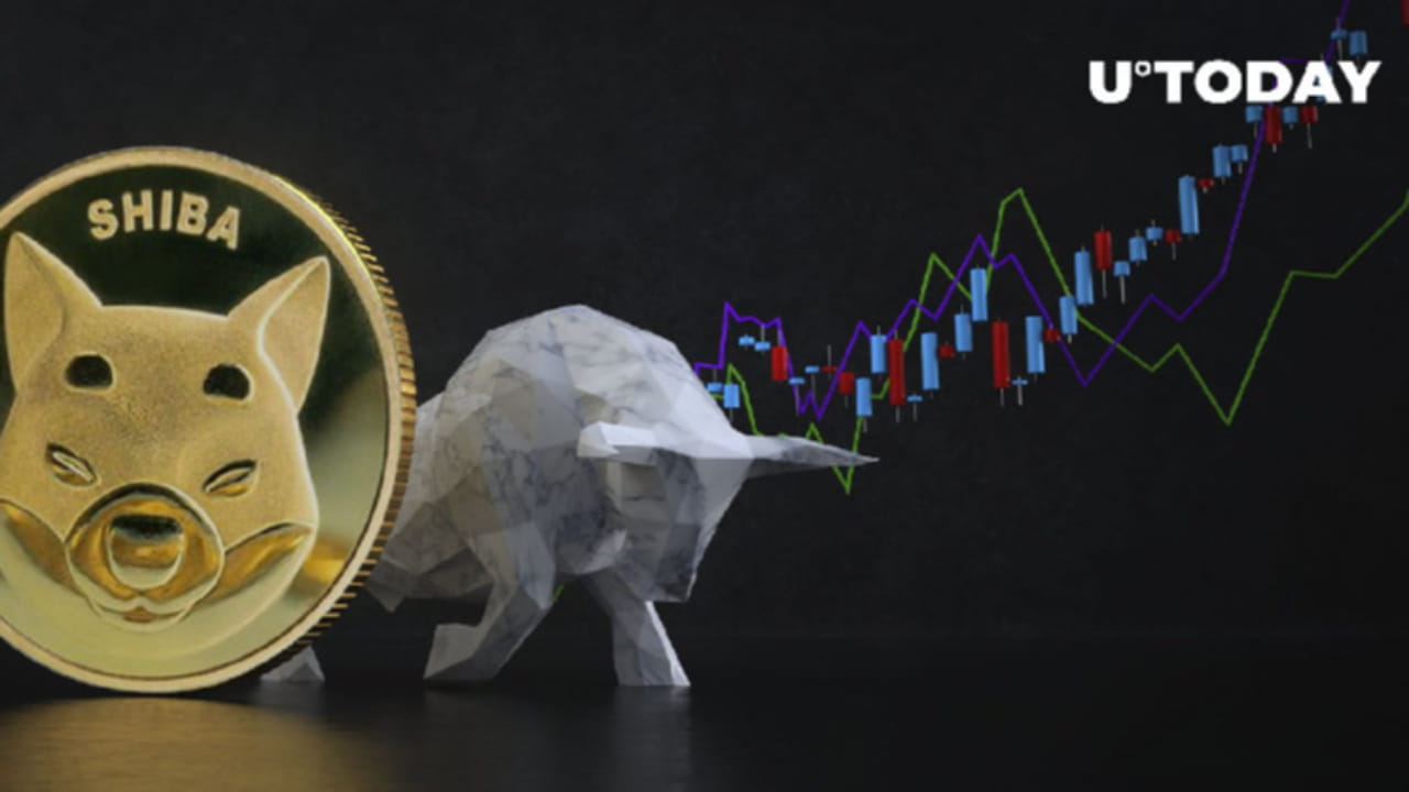 Shiba Inu (SHIB) Sees Surge in Investor Optimism: Major Players Go Bullish | TopCryptoNews on ...