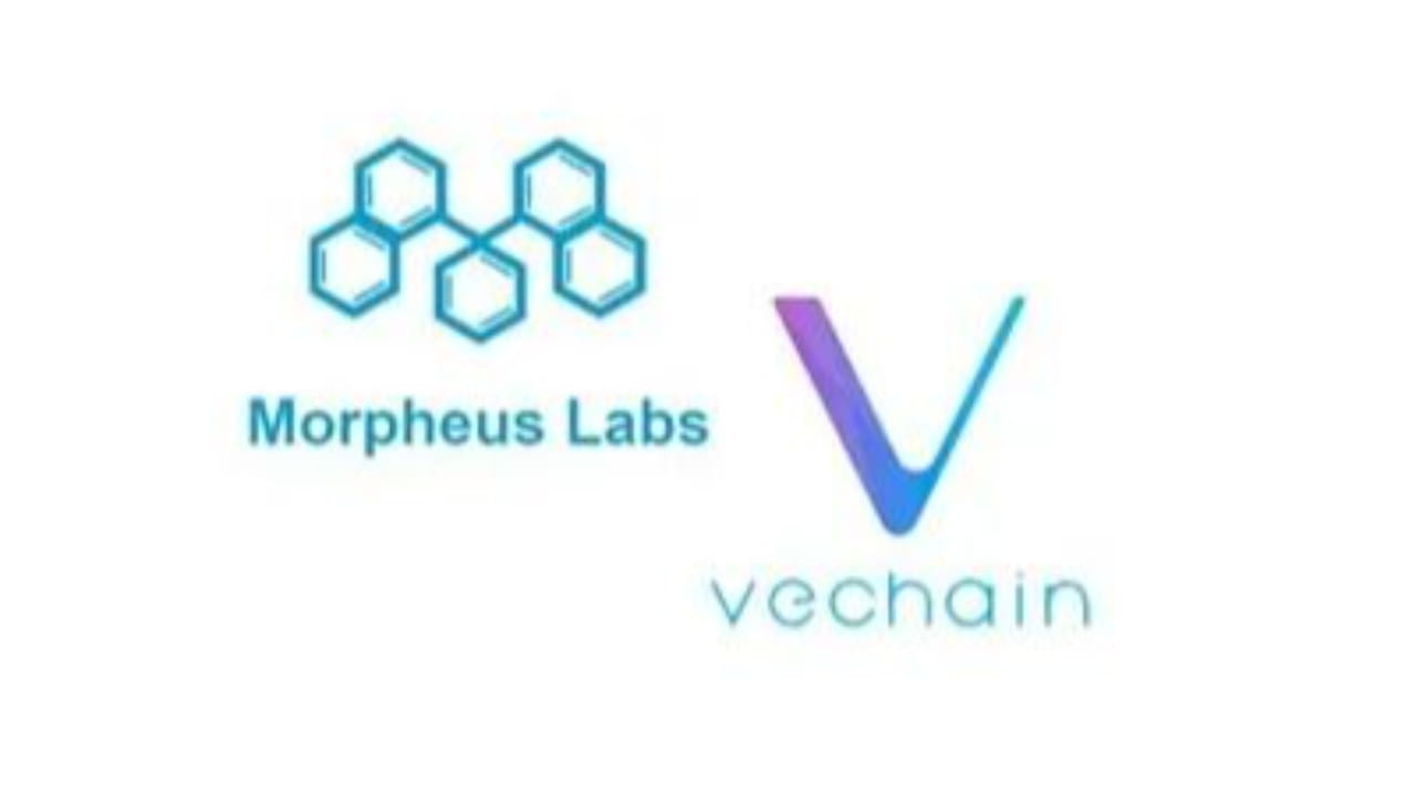 VeChain and Morpheus Network: Innovative solutions for an efficient ...