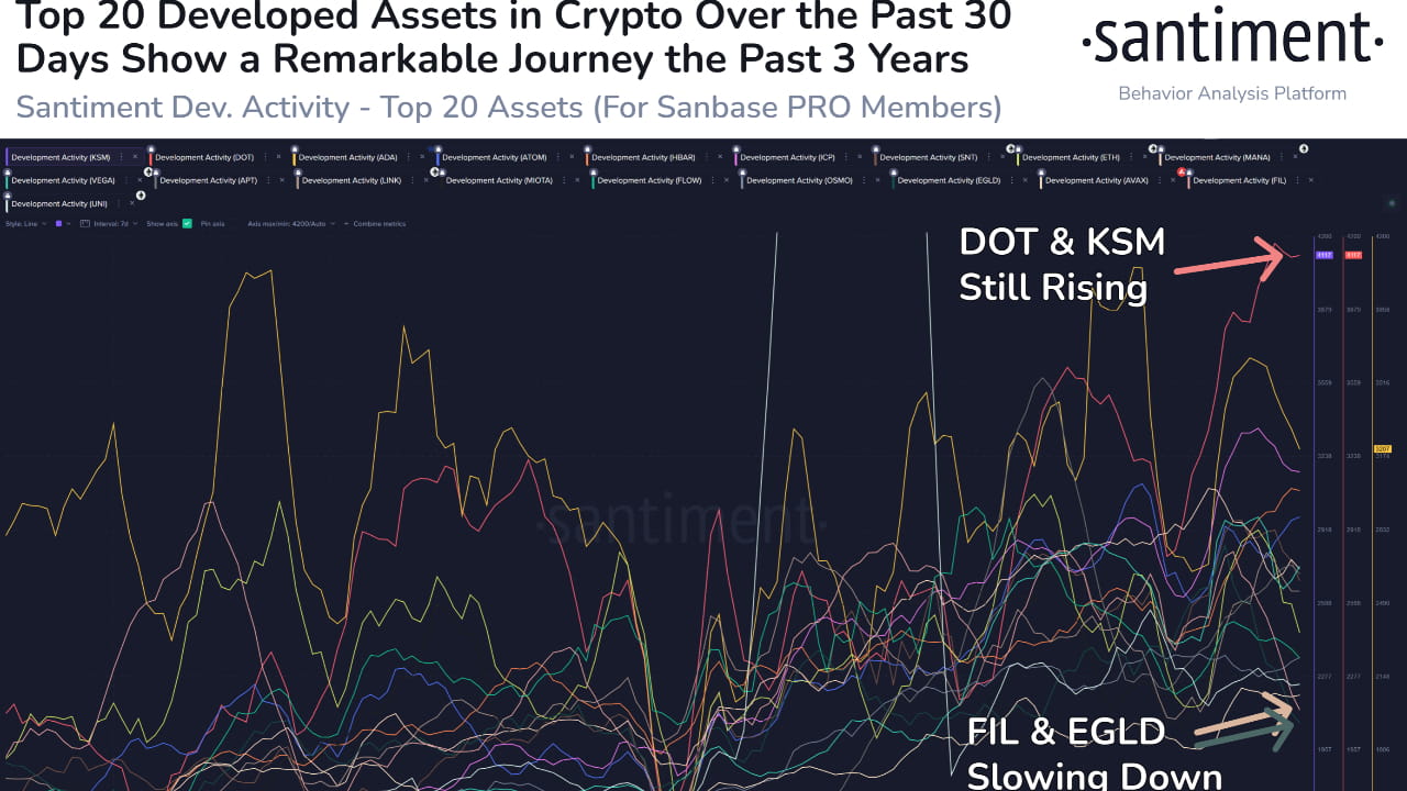 Looking at the Current Top 20 Fastest Developed Assets in Crypto From ...