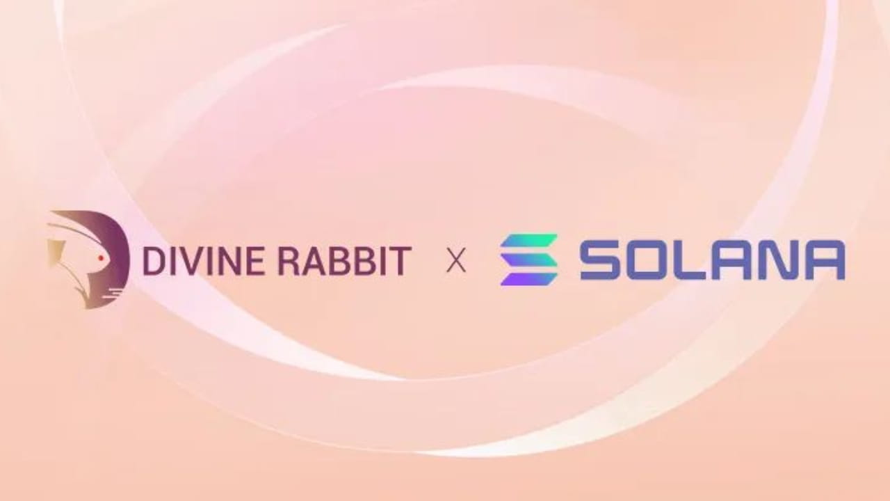 Divine Rabbit - Topological supercomputing matrix helps the development ...