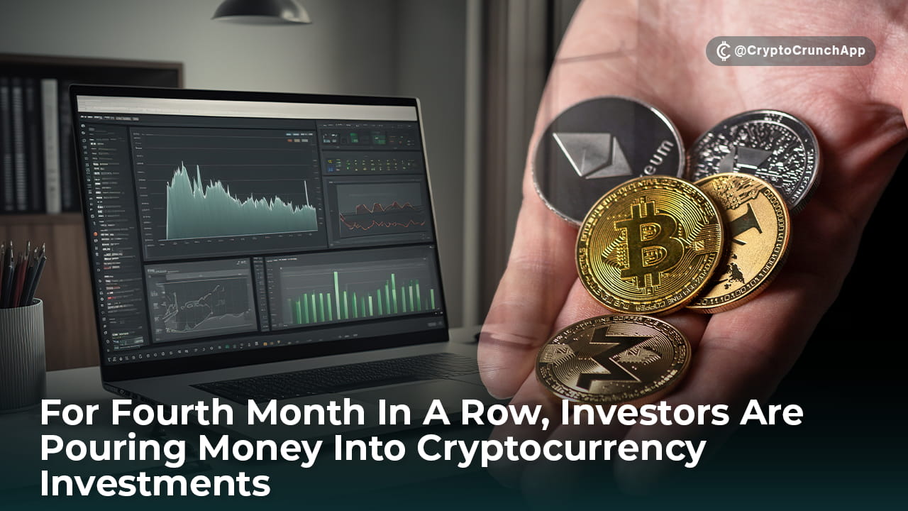 For Fourth Month In A Row, Investors Are Pouring Money Into ...