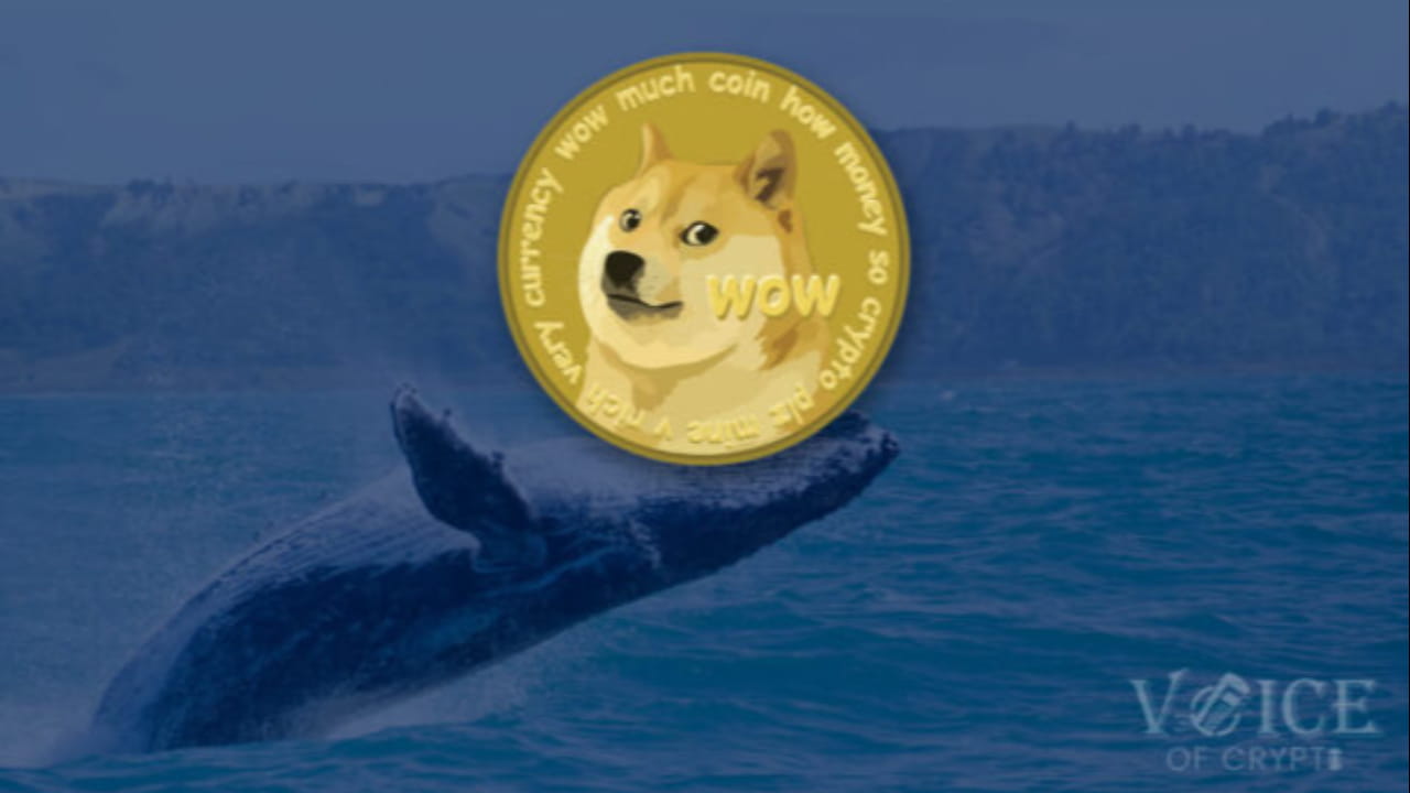 Can Dogecoin Whales Shield DOGE from PEPE? | Voice Of Crypto on Binance Square