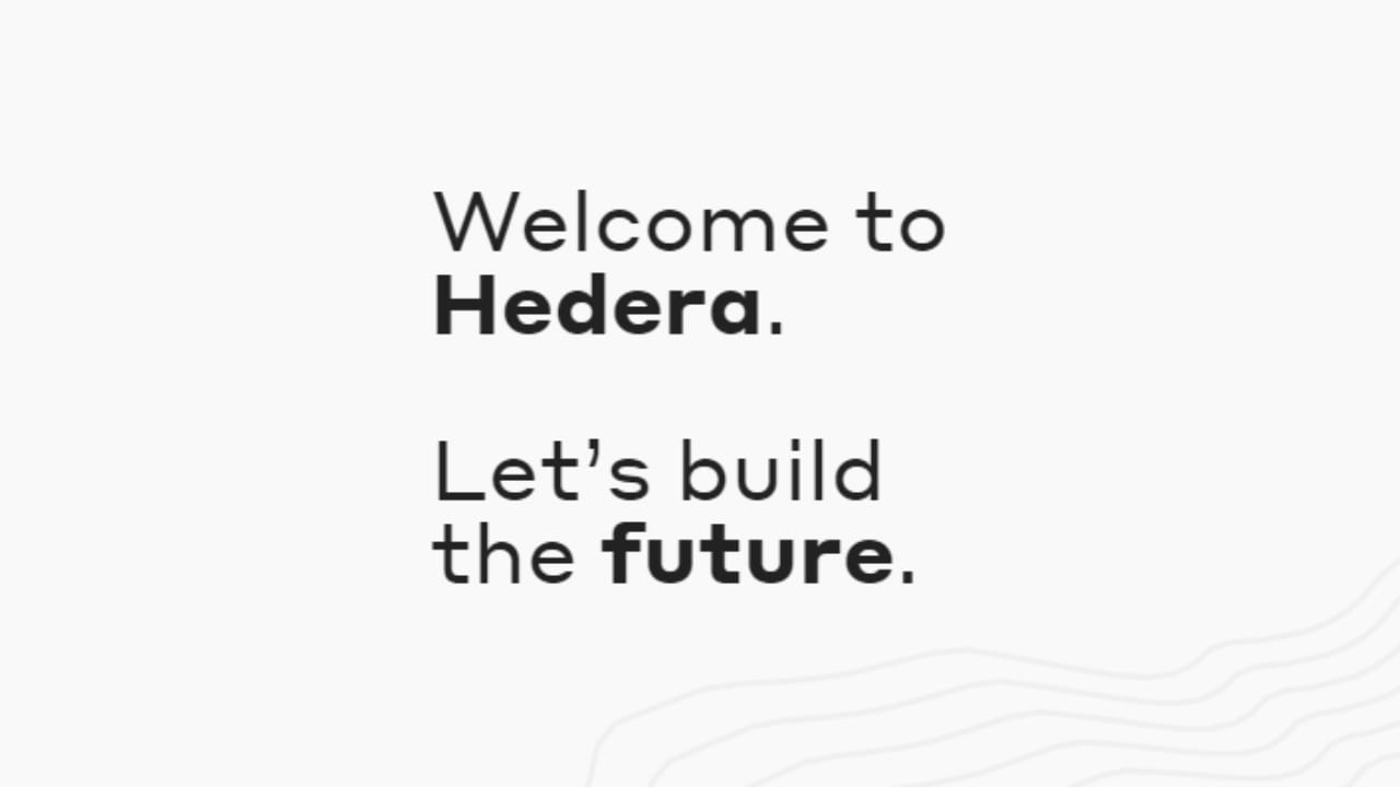 Hedera Hashgraph is the future | starlabman on Binance Square