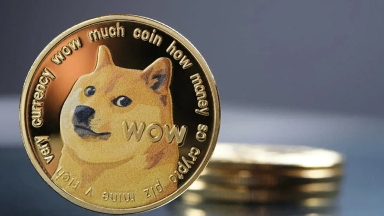 The fate of Dogecoin: Is there any chance for DOGE to return to the ...