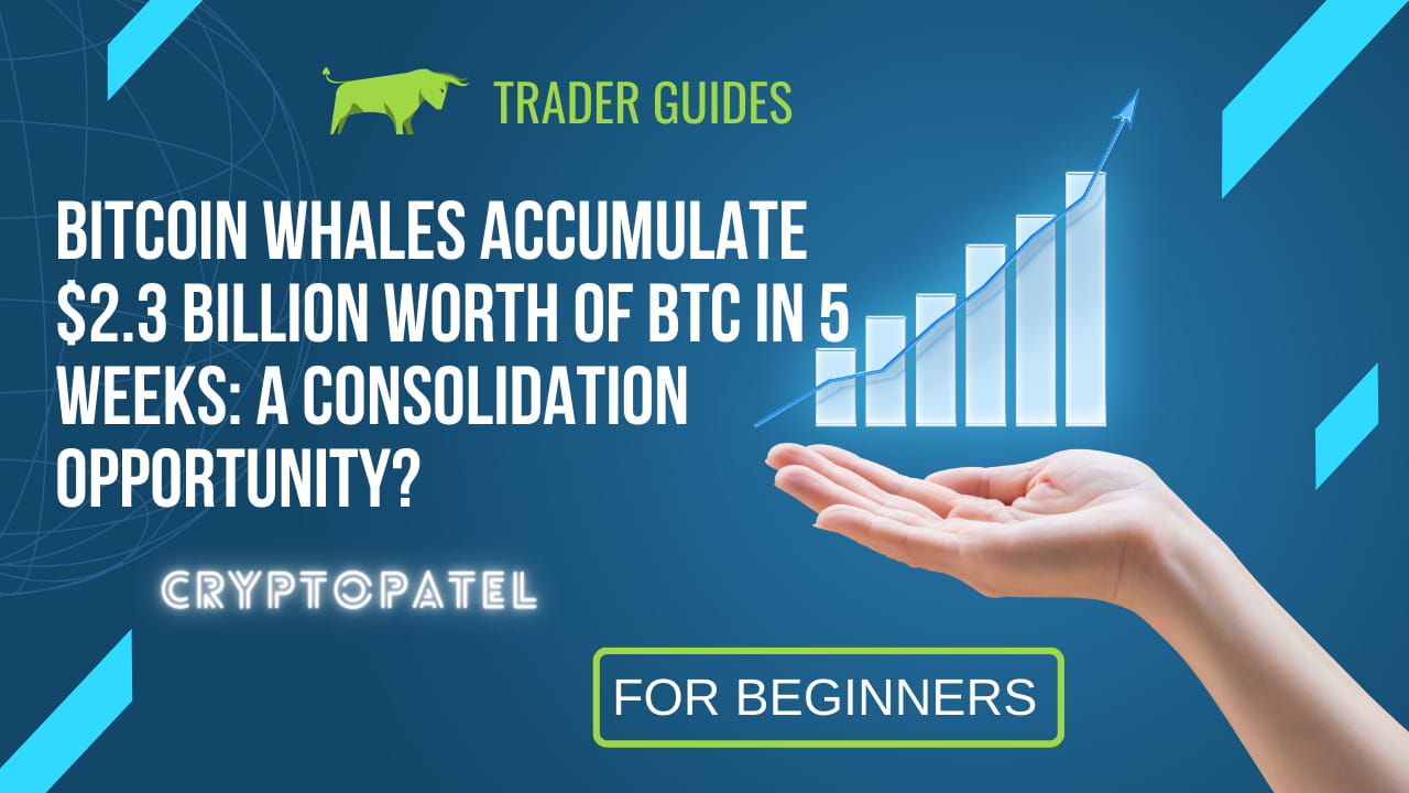 Bitcoin Whales Accumulate $2.3 Billion Worth of BTC in 5 Weeks: A Consolidation Opportunity ...
