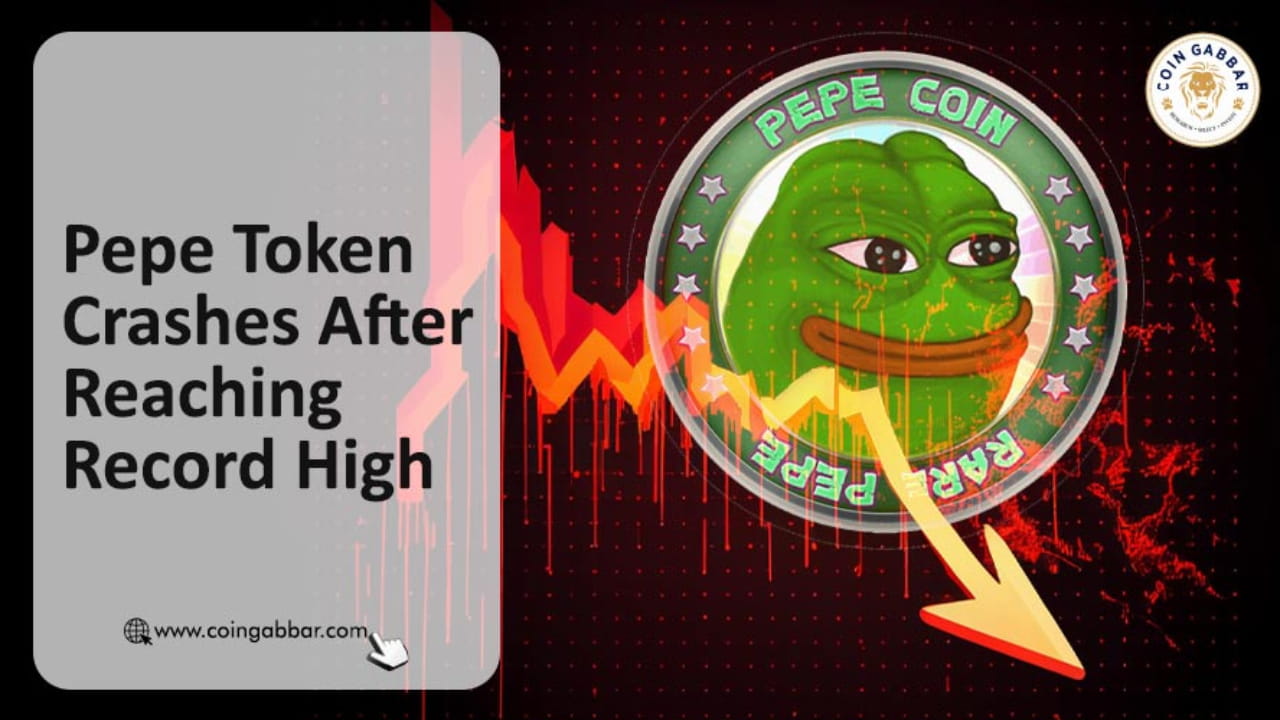 Meme Coin Mania: Pepe Token Crashes After Reaching Record High ...