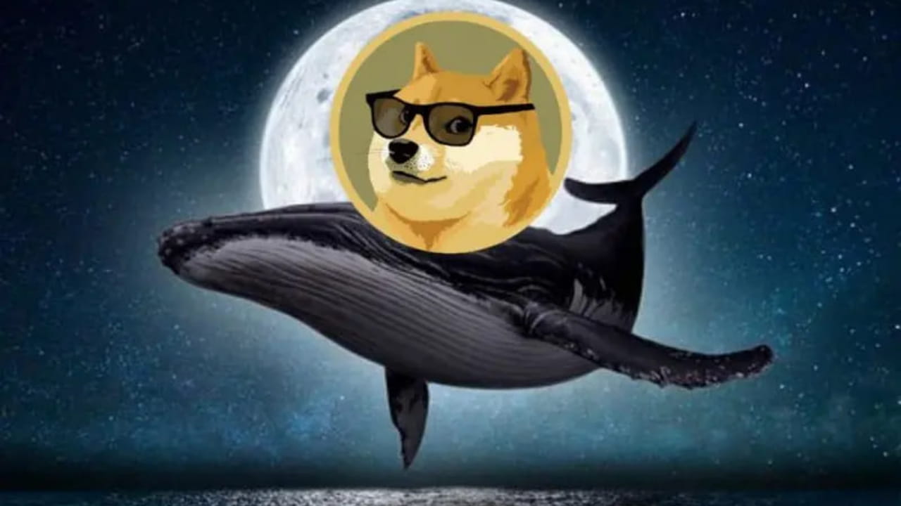 Dogecoin Whale Moves $930,000 in DOGE ! | Parrot Bamboo on Binance Square
