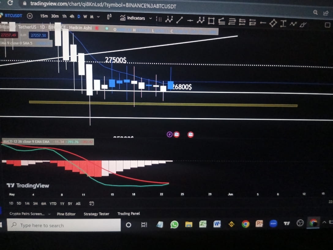 Soon the MACD crossover confirms on Btc chart in a 1 day ti | Crypto ...