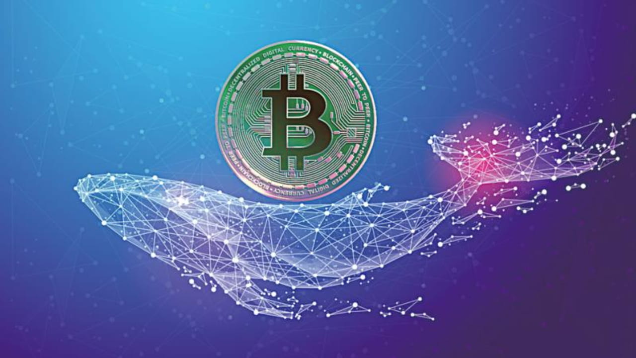 “Bitcoin is not under attack:” BTC maxis dispels fears of DoS attack ...