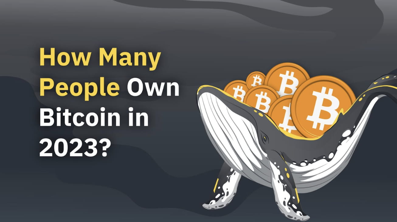 How Many People Own Bitcoin in 2023? | Coinovation on Binance Square