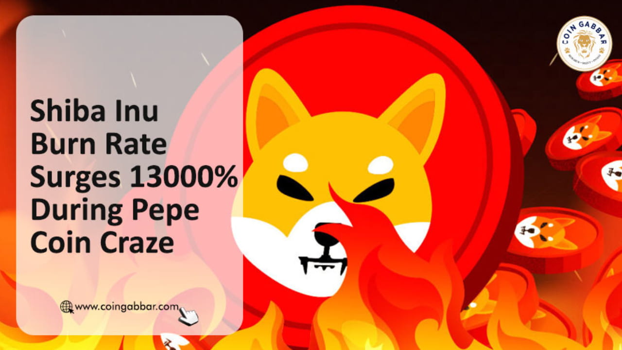 Shiba Inu Coin's Burn Rate Skyrockets by 13000% Amid Pepe Coin Hype | CoinGabbar on Binance Square