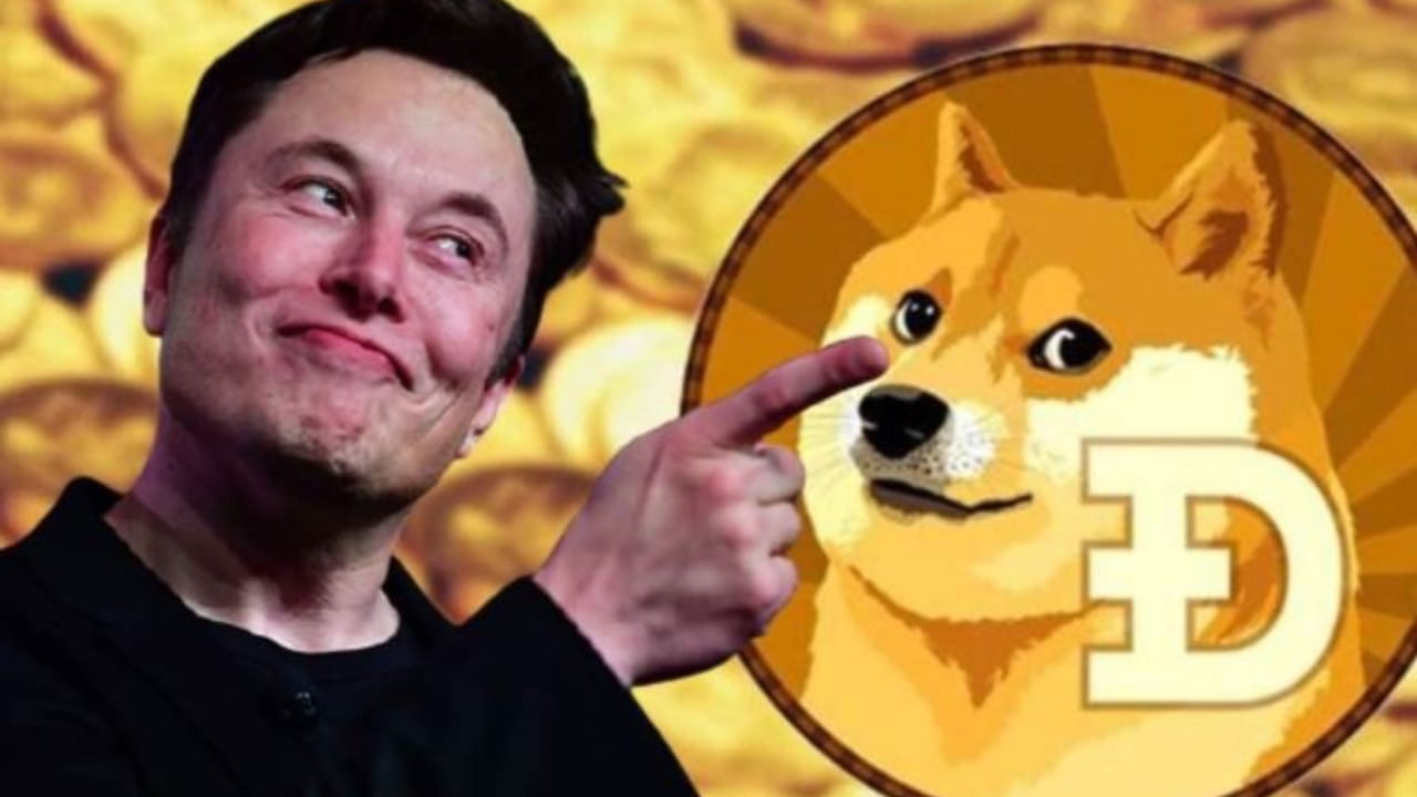 Here’s why Dogecoin whales are scooping up DOGE while the meme coin ...