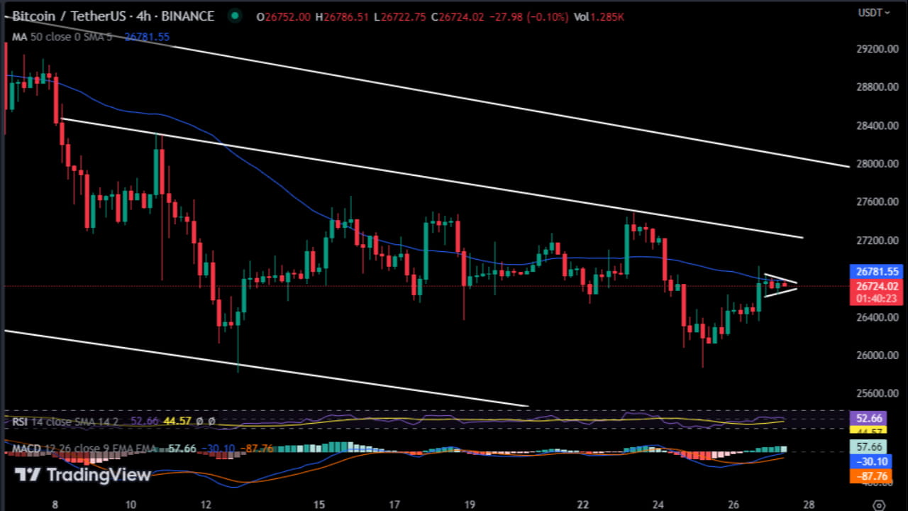 BITCOIN PRICE ANALYSIS: Will the Price Bounce Back or Plunge Further ...