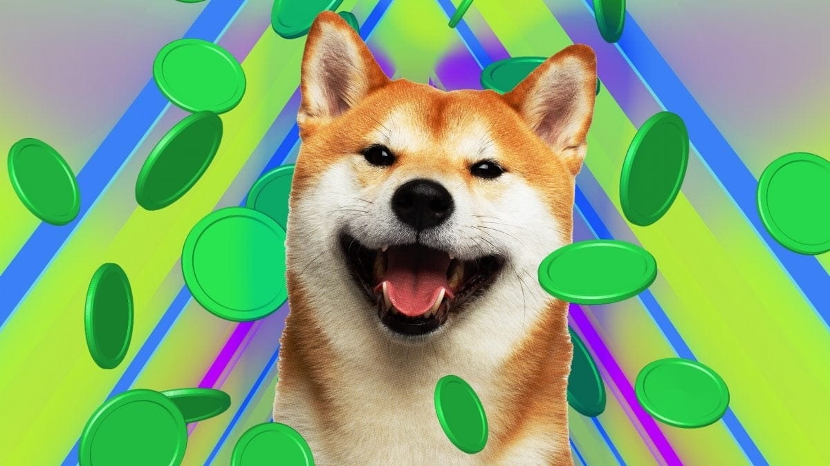 Tokens built on Dogecoin result in all-time high in daily transactions ...
