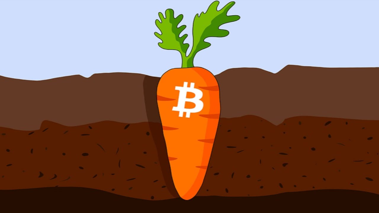 Lightning Labs Unveils Taproot Assets V0.2: Revolutionizing Bitcoin’s Scalability | AZCoinNews ...