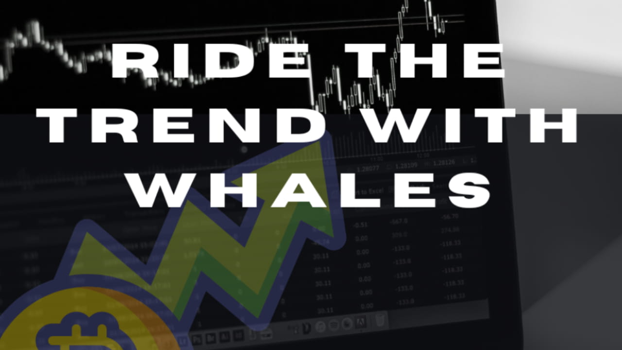 Tracking Crypto Whales Flow for Profitable Insights | Mapongo on ...
