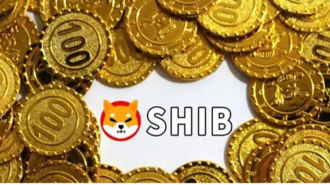 SHIB vs PEPE: Why Pepe will never replace the Shiba Inu | 财经老六 on ...
