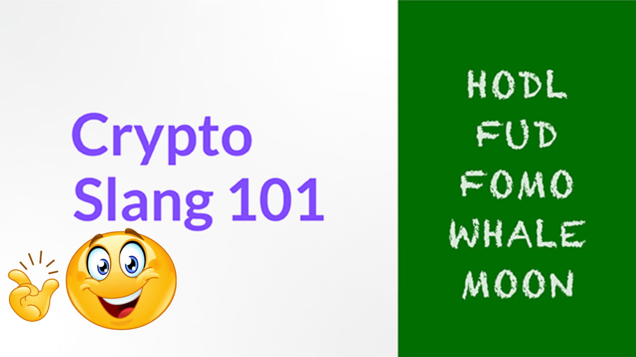 Understanding Crypto Slang (101): A Comprehensive Guide to the Language ...