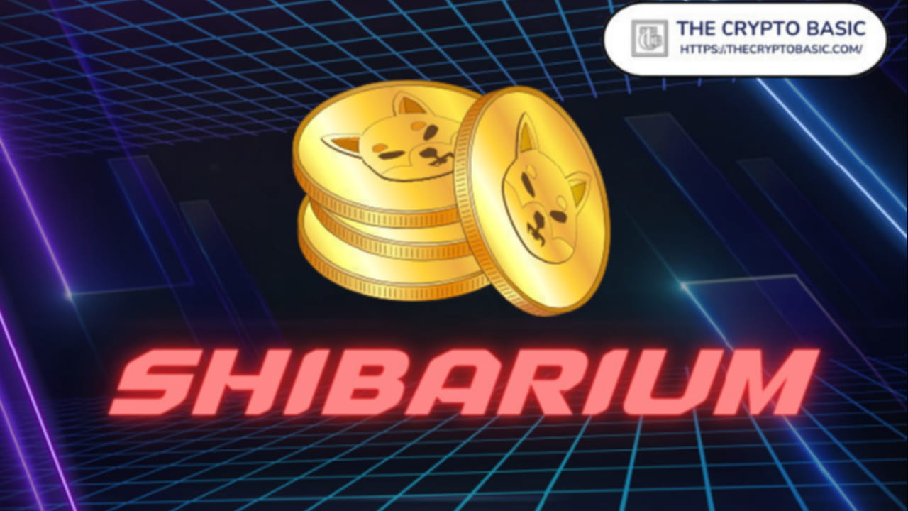 Shiba Inu Lead Developer Blasts Critics, Shares Useful Hint on Shibarium Launch Date ...