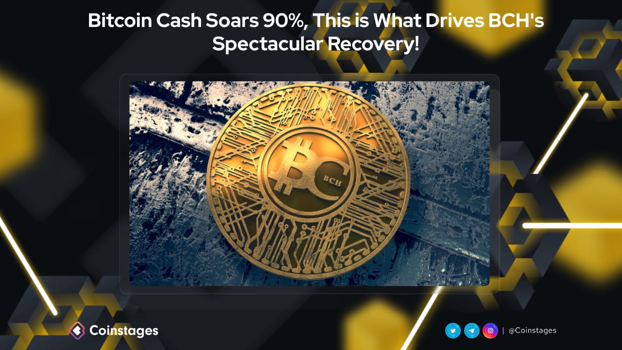 Bitcoin Cash Soars 90%, This is What Drives BCH's Spectacular Recovery ...