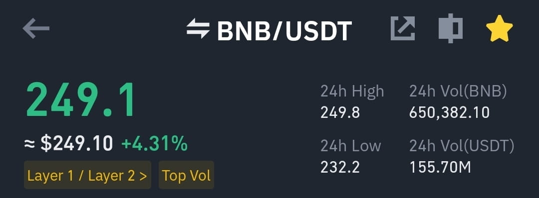 BUY SOME #BNB SPOT ⭐ TARGET : 260 270 280 290 300 🚀🚀 | edbitcrypto on ...