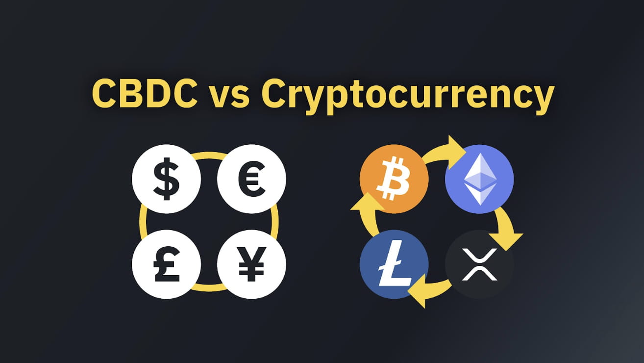 CBDC vs Cryptocurrency: What's the Difference? | Coinovation on Binance Square