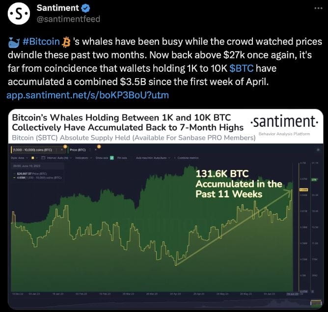 More Than 130,000 BTC Worth $3.5 Billion Added: Are Bitcoin Whales Preparing for a New Rising ...