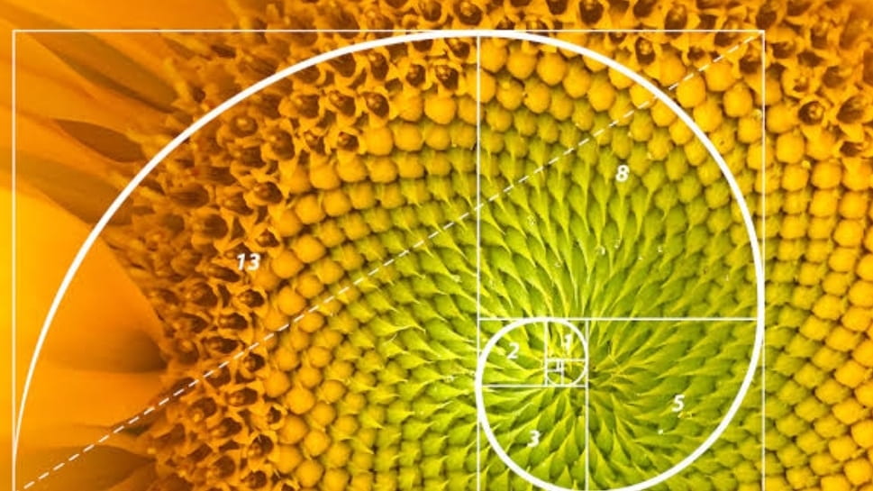 Learn Fibonacci Sequence Fast | Investoverse on Binance Square
