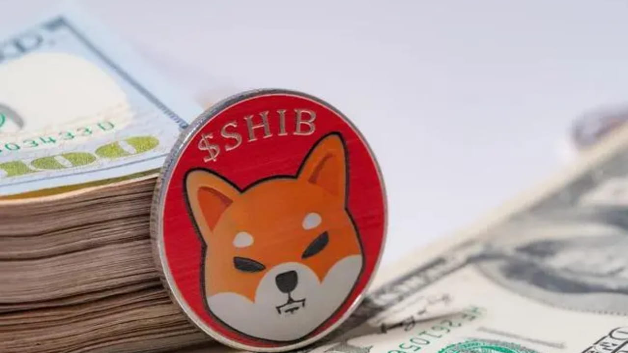 [Rise Community] Here's How Shibarium Affects Shiba Inu Prices | 固执漫游记 on Binance Square