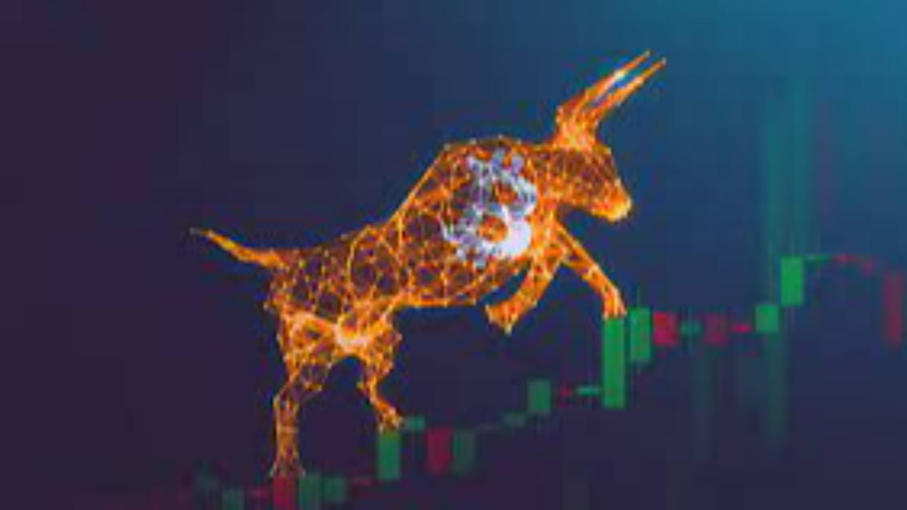 What is a bull run in cryptocurrencies? | Tineoysidro7 on Binance Square