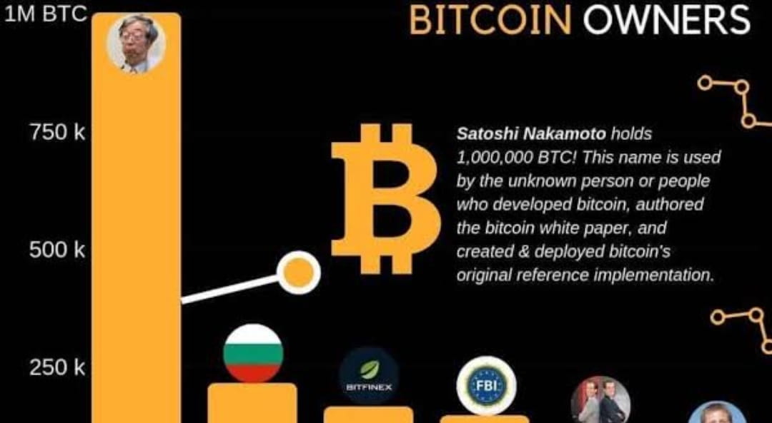 BITCOIN TOP HOLDERS 2023 REVEALED | Crypto Angel 橙色女孩 on Binance Square