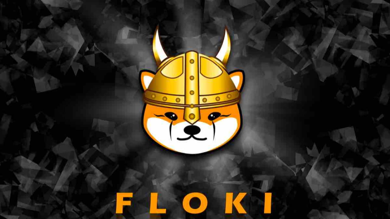 Floki Inu (FLOKI) Surges Amidst Meme Coin Downturn | koinmilyoner on ...