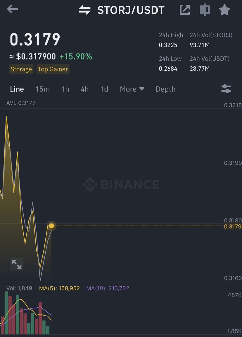 🔥Very Hot🔥 STORJ/USDT ENTRY:0.3153 TP:0.3207 SL:0.31 | Haloclean on Binance Square