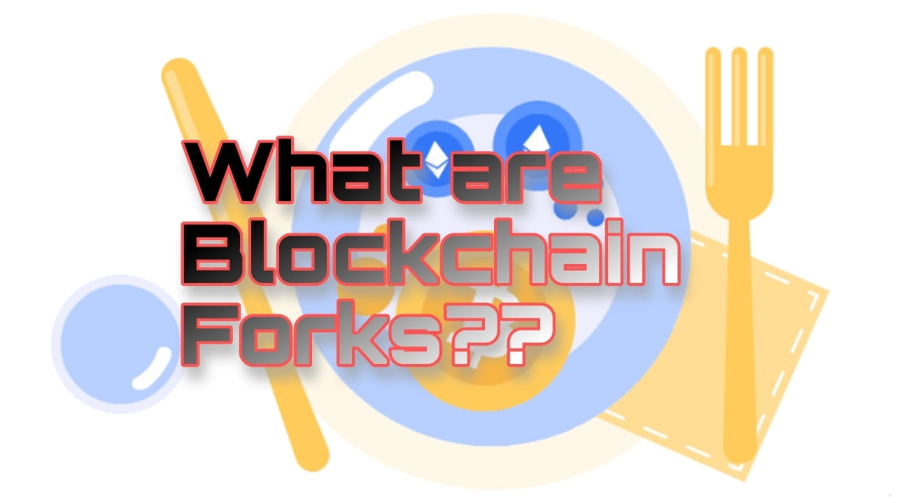 What you simply need to know about Blockchain Forks 🍽️ | Exdrop Square 101 on Binance Square
