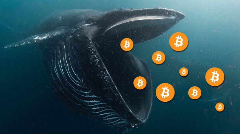 🐳Whales are buying Bitcoin worth $2 billion | COIN 22 on Binance Square