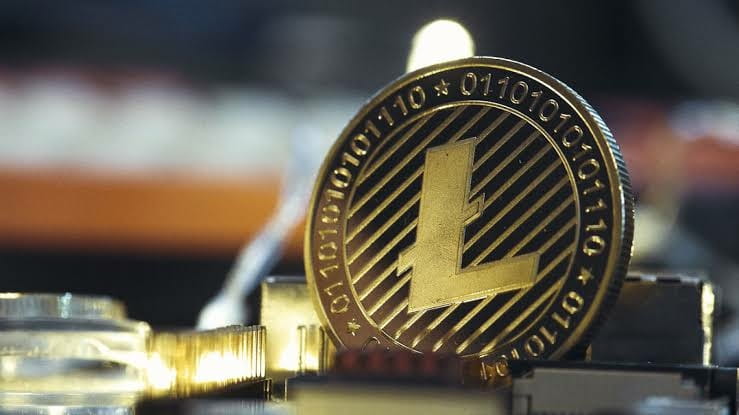 13% of all Litecoin (LTC) in Circulation Unmoved for 5 Years | Dopamine BuerTrades on Binance Square