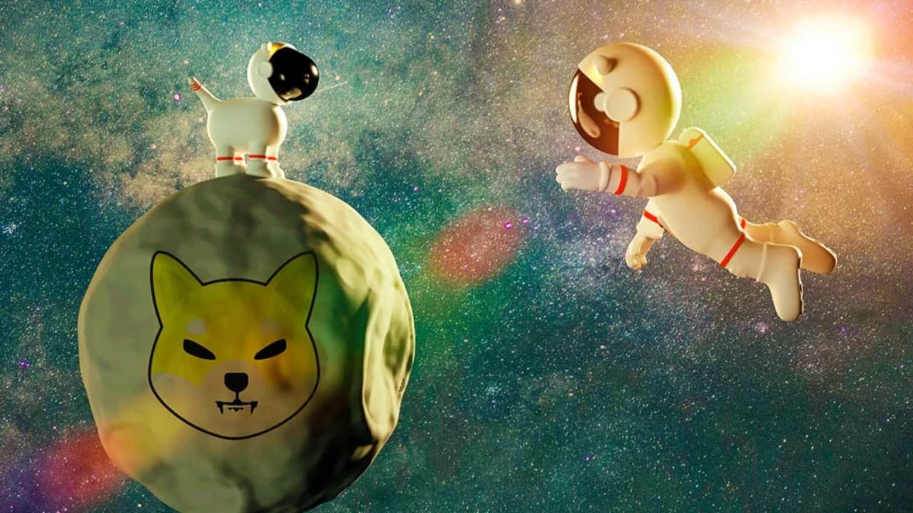 Dogecoin Rival Shiba Inu Shows Promise Despite Poor Price Performance ...